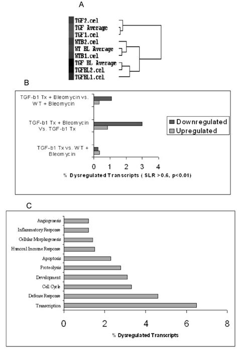 Oligonucleotide Microarray Analysis Reveals Coordinate Patterns Of Gene Download Scientific