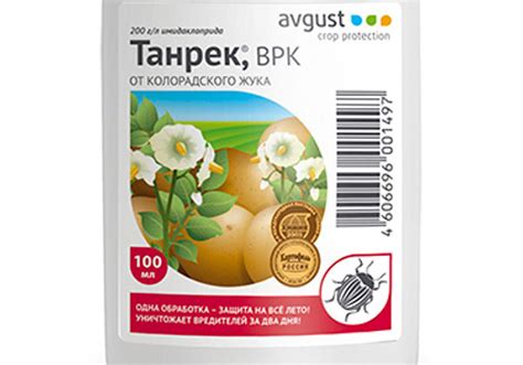 Фитоспорин для хвойных: эффективная помощь при болезнях