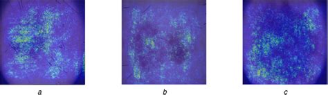 Saliency Map Visualisation Of The Penultimate Mlp Or Fc Layer Of The