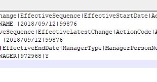 Oracle Application S Blog HDL SCRIPT TO UPDATE MANGERS OR SUPERVISORS IN ORACLE CLOUD