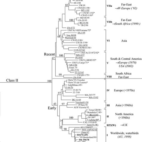 Phylogenetic Tree Of Representative Ndv Strains Depicting Major Download Scientific Diagram