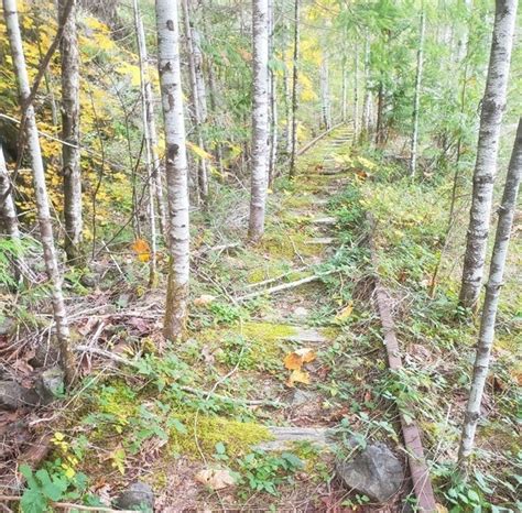 Just A Car Guy Abandoned Logging Rails Into The Olympics Washington Waiting For Someone To