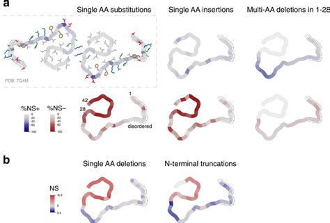 Mutational Effects Visualized On Fad Aβ Fibril Structure In Fibrils Download Scientific Diagram
