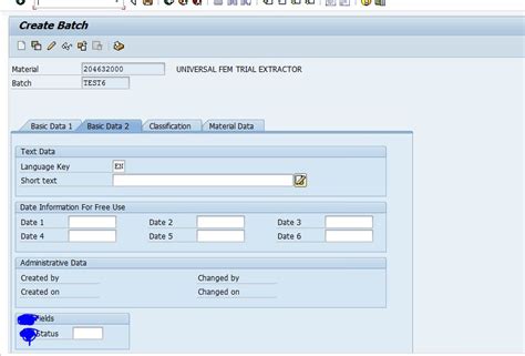 Solved Control Custom Field In Batch Using Table V T148 SAP Community