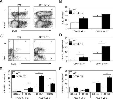 Gitr Triggering Induces Expansion Of Both Effector And Regulatory Cd4