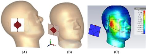 Simulated Sar Calculation A Front View B Prospective View And C Sar