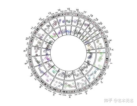 R 数据可视化 —— Circlize 基因组绘图函数 知乎