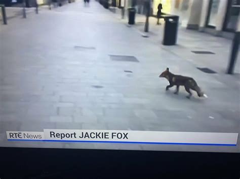 14 Perfect Examples Of Nominative Determinism In Action The Poke