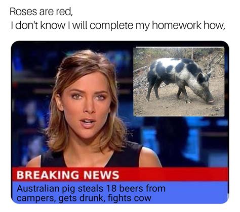 Someone Help Me With My Homework Please R Memes