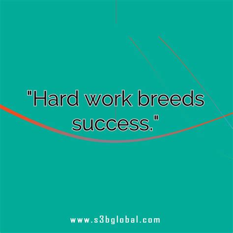 s3b global posted on linkedin