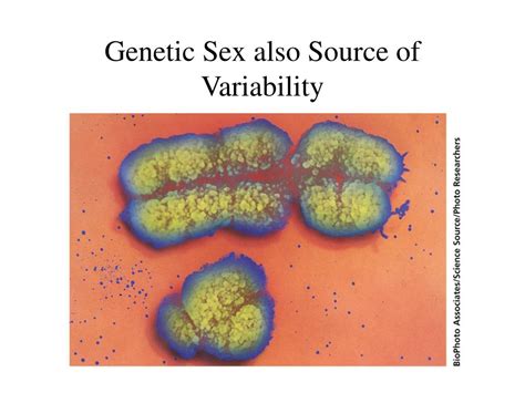 Ppt The Human Heritage Genes And The Environment Powerpoint