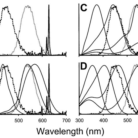 Relationship Between Pixel Spacing P Viewing Distance D And Download Scientific Diagram