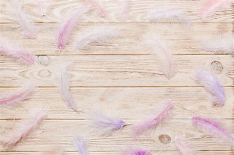 색깔 배경에 밝은 색깔로 염색 된 새 깃털의 프레임 상단 전망 그라데이션에 대한 스톡 사진 및 기타 이미지 그라데이션 그런지 이미지 기법 그림자 Istock