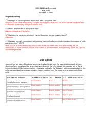 Exercise For Negative Stain And Gram Stain Docx BIOL 3401 Lab Exercises Fall 2020 October 2