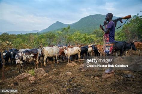 Blood Drinking Creatures Photos Et Images De Collection Getty Images