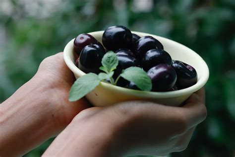 Benefits Of Java Plum Unveiling The Amazing Health Advantages Of The