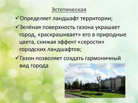 11 Устройство и содержание газонов презентация онлайн