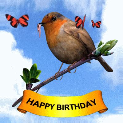 Happy Birthday Birthday Robin  Happy Birthday Birthday Robin Robin