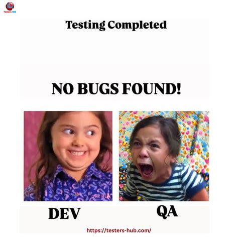 How Testers Hub Can Help You Find Bugs Testers Hub Software Testing