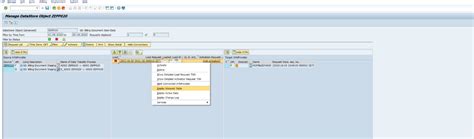 How To Survive With Sap Gui For Support Tasks Under Bw 4hana Zpartner Gmbh