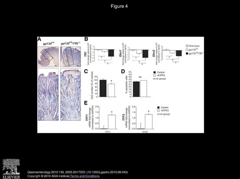 Volume 139 Issue 6 Pages December 2010 Ppt Download