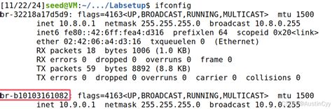 【Seed-Labs 2.0】Local DNS Attack Lab-CSDN博客