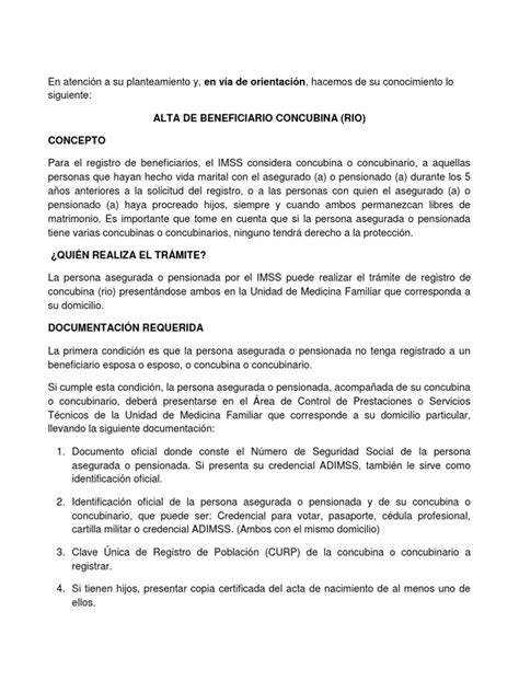 Alta De Concubina En El Imss Guía Práctica Pdf Gobierno