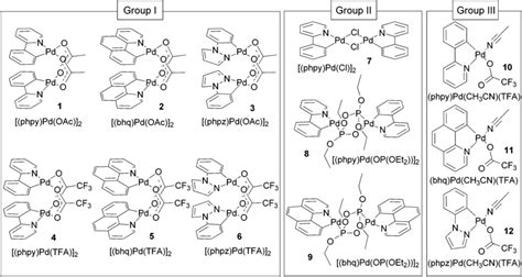 Selected Cyclometalated Palladium Complexes Download Scientific Diagram