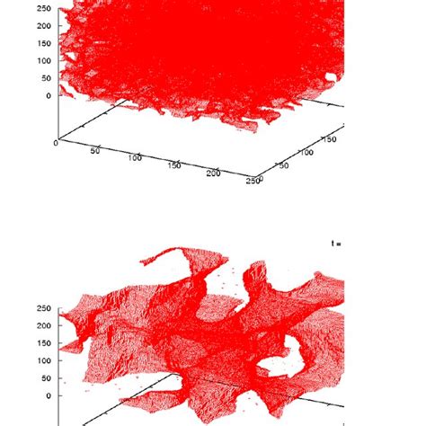 3 The Correlation Length ξ Is Extracted From The Exponential Behavior Download Scientific
