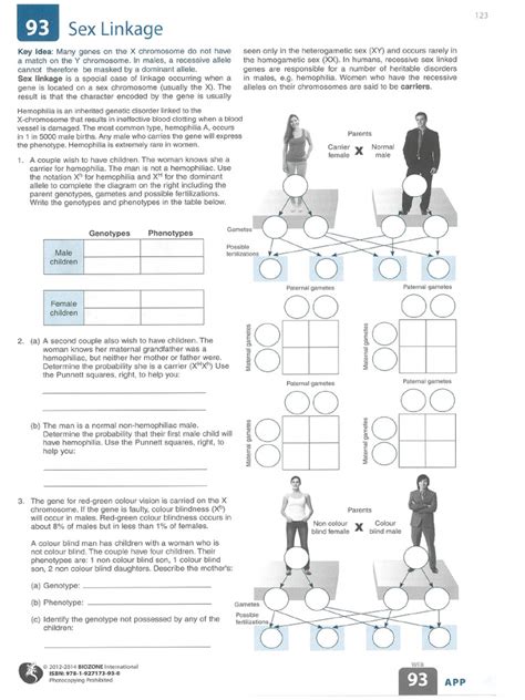 sex linkage worksheets pdf