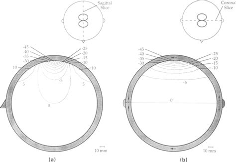 The Components Of The Electric Field In The Theta Direction For