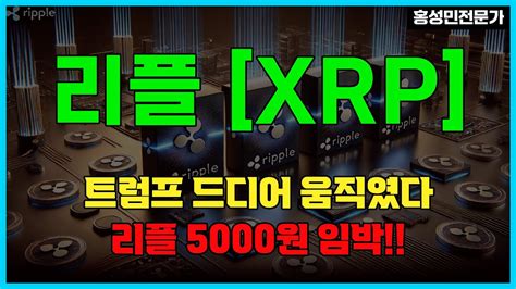 리플 지금부터 꼭 집중하세요 리플 리플분석 리플목표가 Youtube