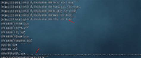 win单机部署失败报错信息Error response from daemon failed to populate volume error while mounting