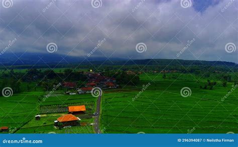 Aerial View Of Green Rice Fields And Villages In Pronojiwo Lumajang East Java Indonesia Stock