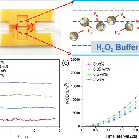 Self Propelled Janus Nanomotor As Active Probe For Detection Of Pepsinogen By Lateral Flow
