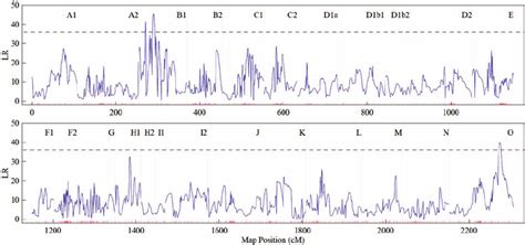 The Log Likelihood Ratios Lr Of The Full Model There Is A Qtl Over Download Scientific