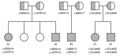 Analyses Of Slc13a5 Epilepsy Patients Reveal Perturbations Of Tca Cycle Pmc