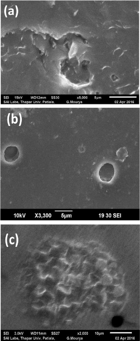 Sem Micrograph Of Pure Polymer A Maximum Conducting Composite Download Scientific Diagram