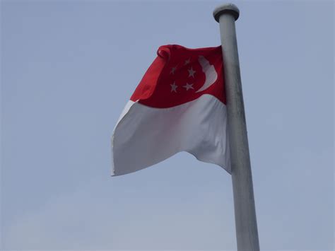 Singapore National Flag Outdoor Decor