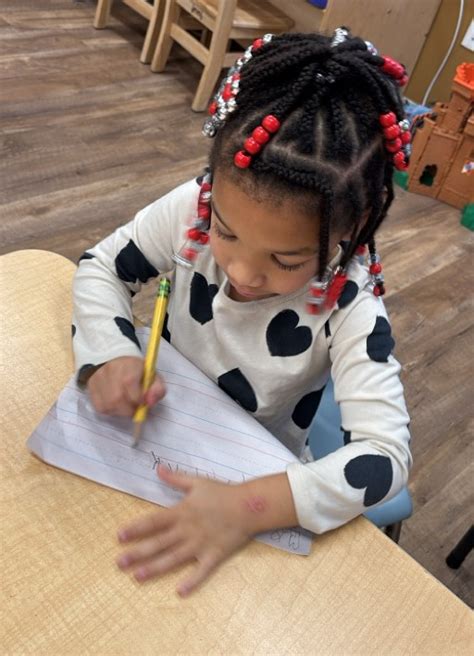 Laurel Tree Academy Lumberton Nj Lumberton Nj