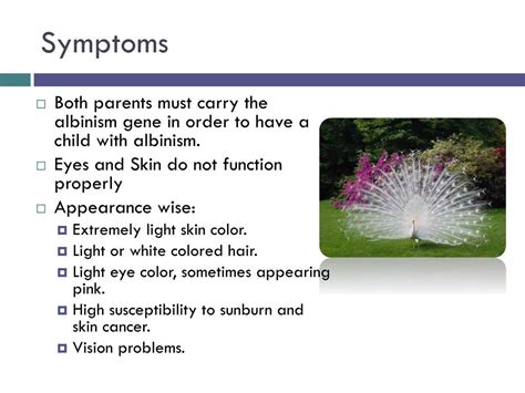 Ppt Albinism Powerpoint Presentation Free Download Id2226310