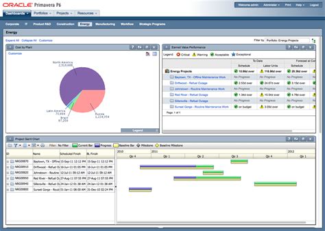 Oracle Primavera Eppm Screen Shots