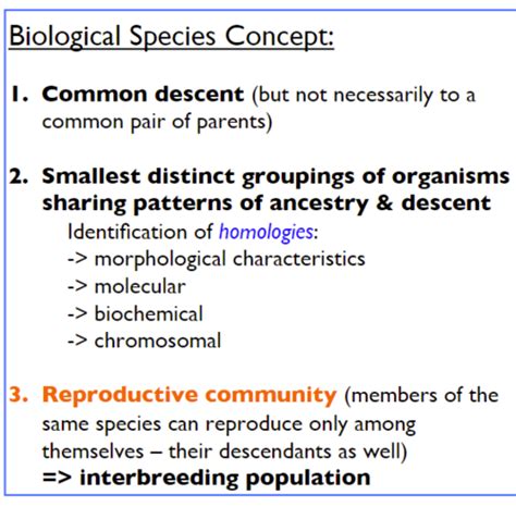 Speciationtaxonomyphylogeny Ch 10 Flashcards Quizlet