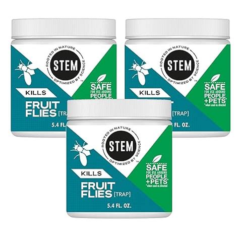 How To Kill Fruit Flies Drain Flies And Phorid Flies Pest And Bug Control