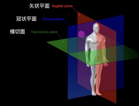 unet 系列：做医学图像分割的任何人，都必须要会使用 nnu net nnunet csdn博客