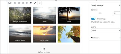 how to add and align images in wordpress gutenberg block editor