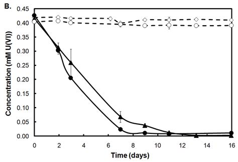 1 Time Course Of The Reduction Of Uranium In The Presence Of Different
