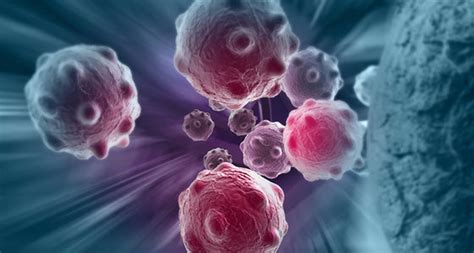 An Rna Sequencing Workflow To Characterize The Tumor Microenvironment