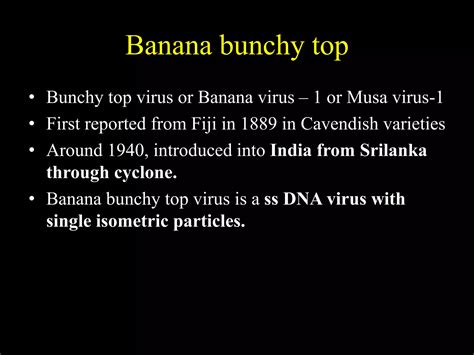 Banana Bunchy Top Disease Pptx