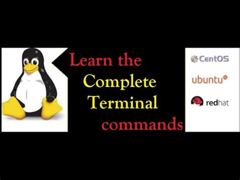 Linux Commands Clear Your Linux Basics In Hour For Beginners And Experts YouTube